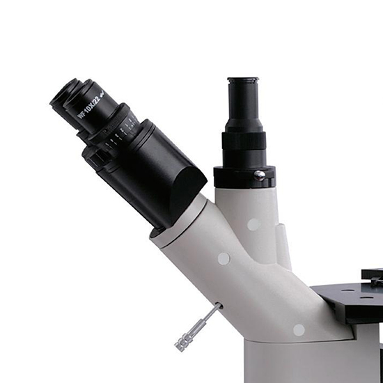 Professional Inverted Fluorescence Microscope | sisco.com