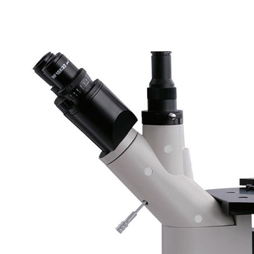 Professional Inverted Fluorescence Microscope | sisco.com